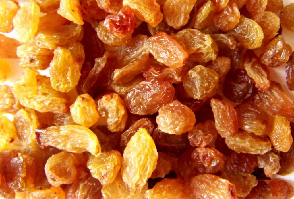 Kuru üzümde Okratoksin alarmı | Ali Ekber Yıldırım'ın Kaleminden ...