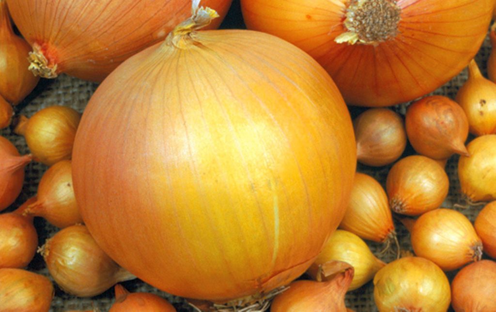 Soğanın fiyatı, depolara baskın ve bazı gerçekler | Ali Ekber Yıldırım ...