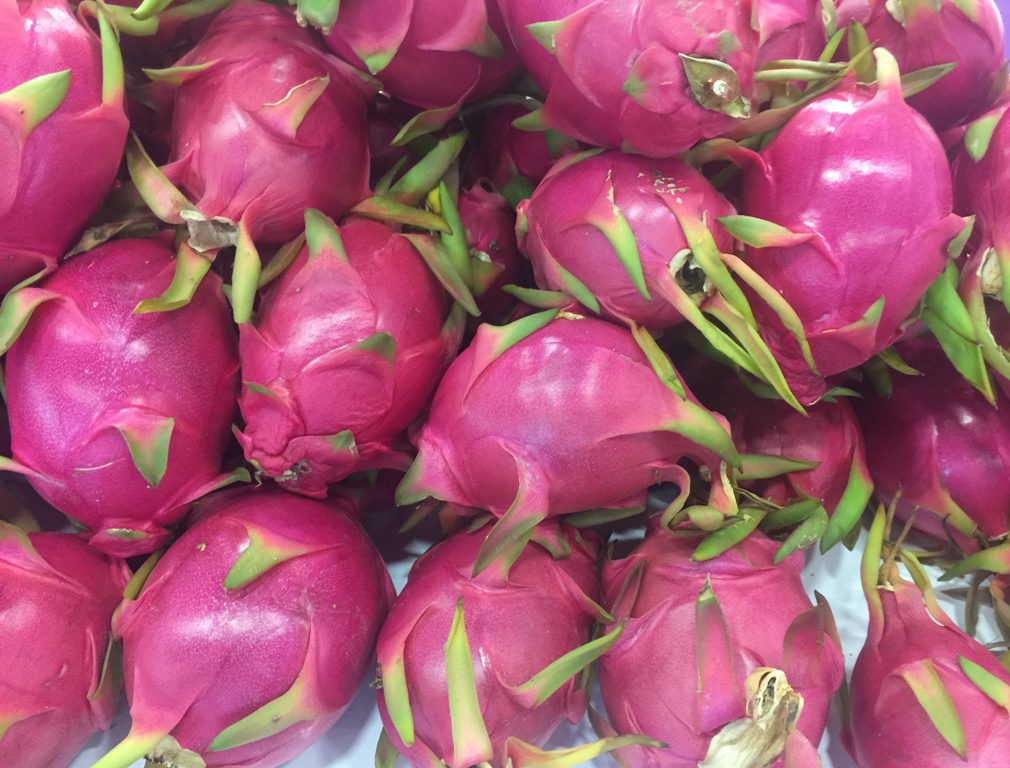 Ejder meyvesi pitayanın üretimi ve ihracatı - Tarım Dünyasından - Ali ...