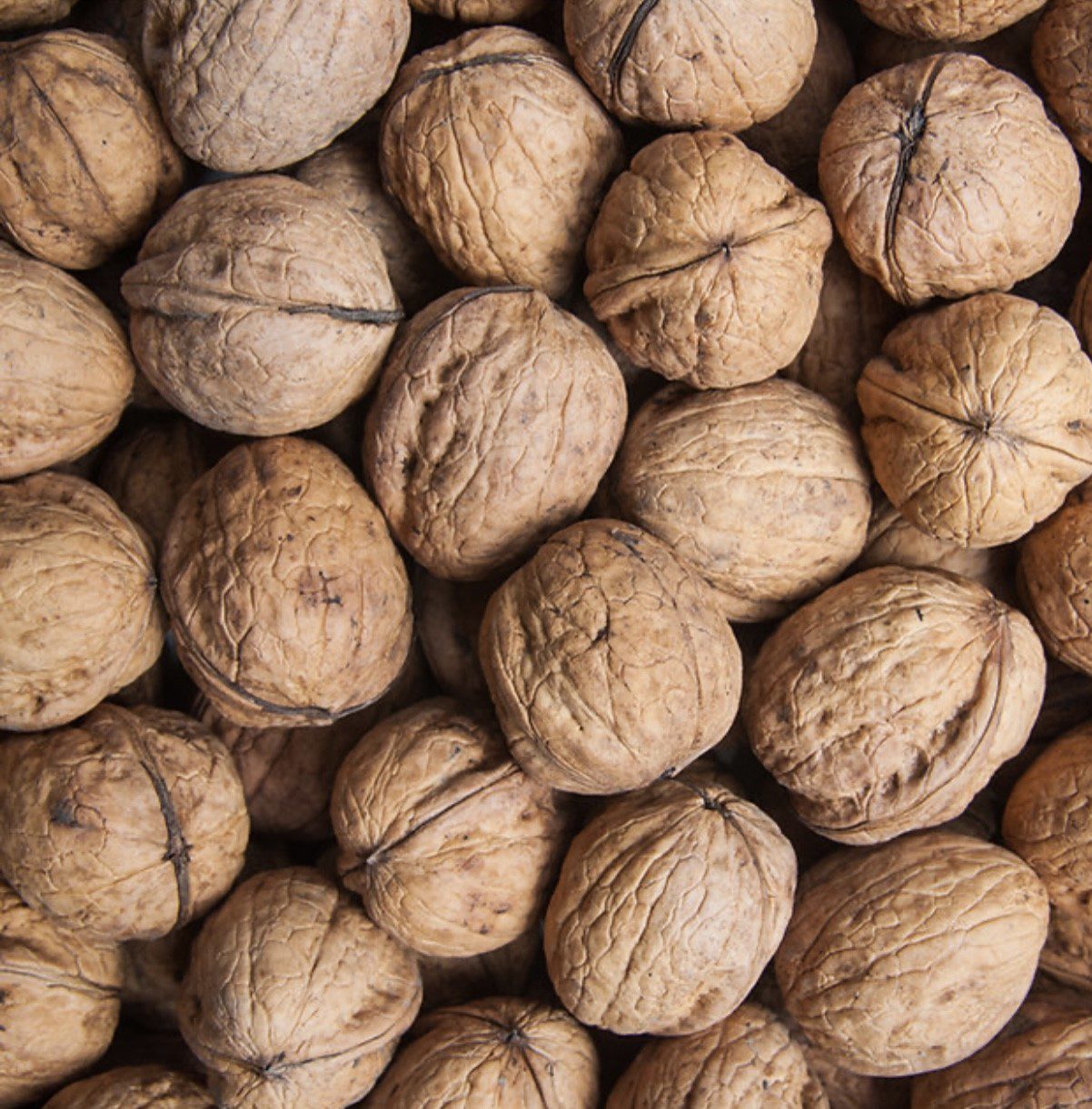 Cevizde ithalat lideri Türkiye, kendi kendine yeterli olabilir mi ...