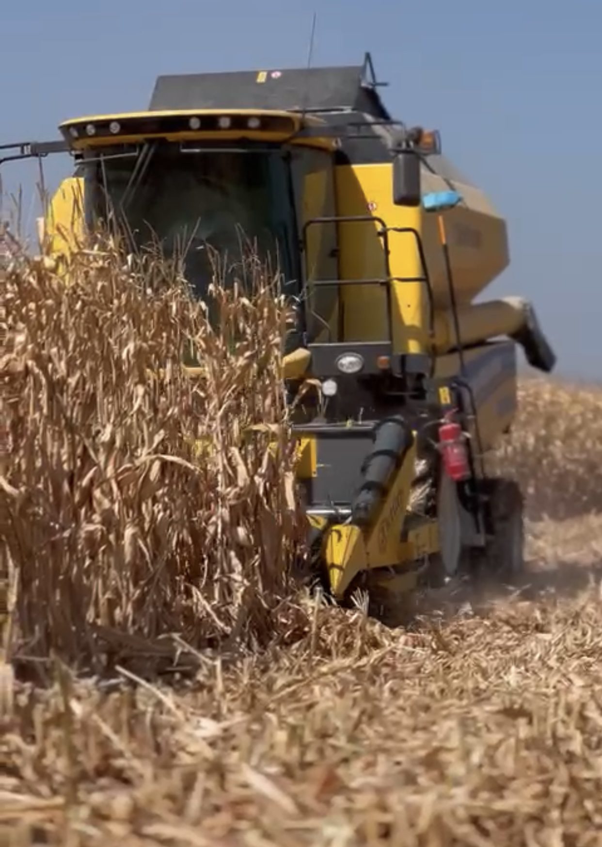 Mısır üretimini artıran çiftçi cezalandırılmamalı | Ali Ekber Yıldırım ...